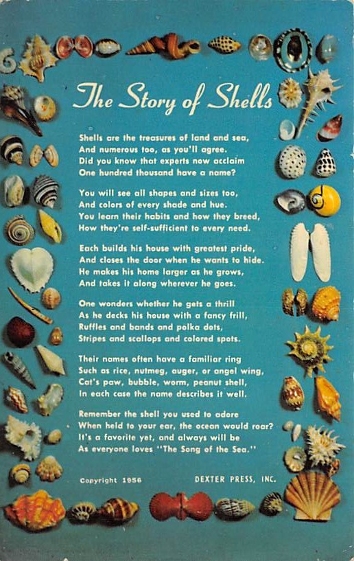 The Story Of Shells View Images | Topics - Animals - Other, Postcard ...