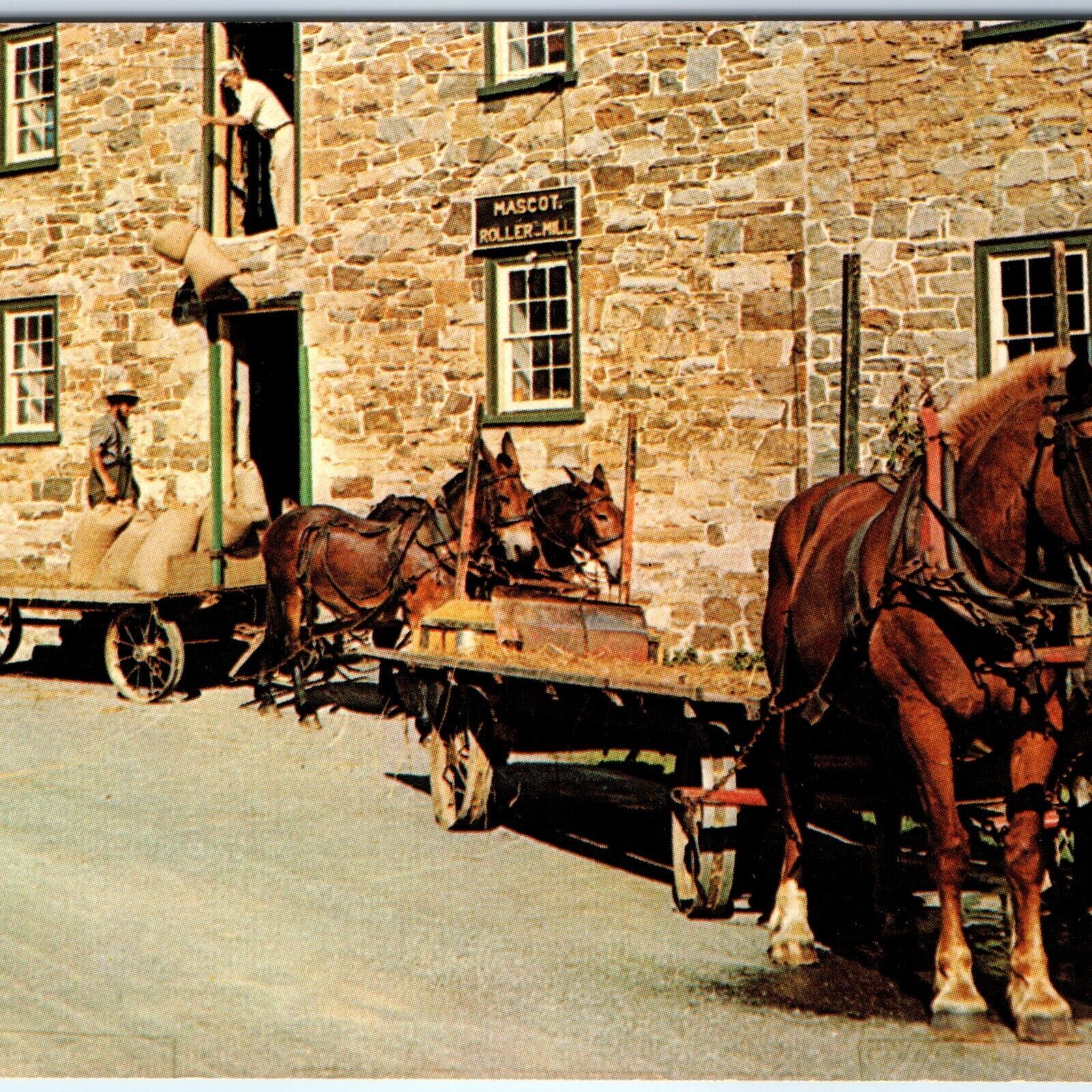 c1960s Ronks, PA Old Mascot Mill Hayrack Horses Amish Lancaster County ...