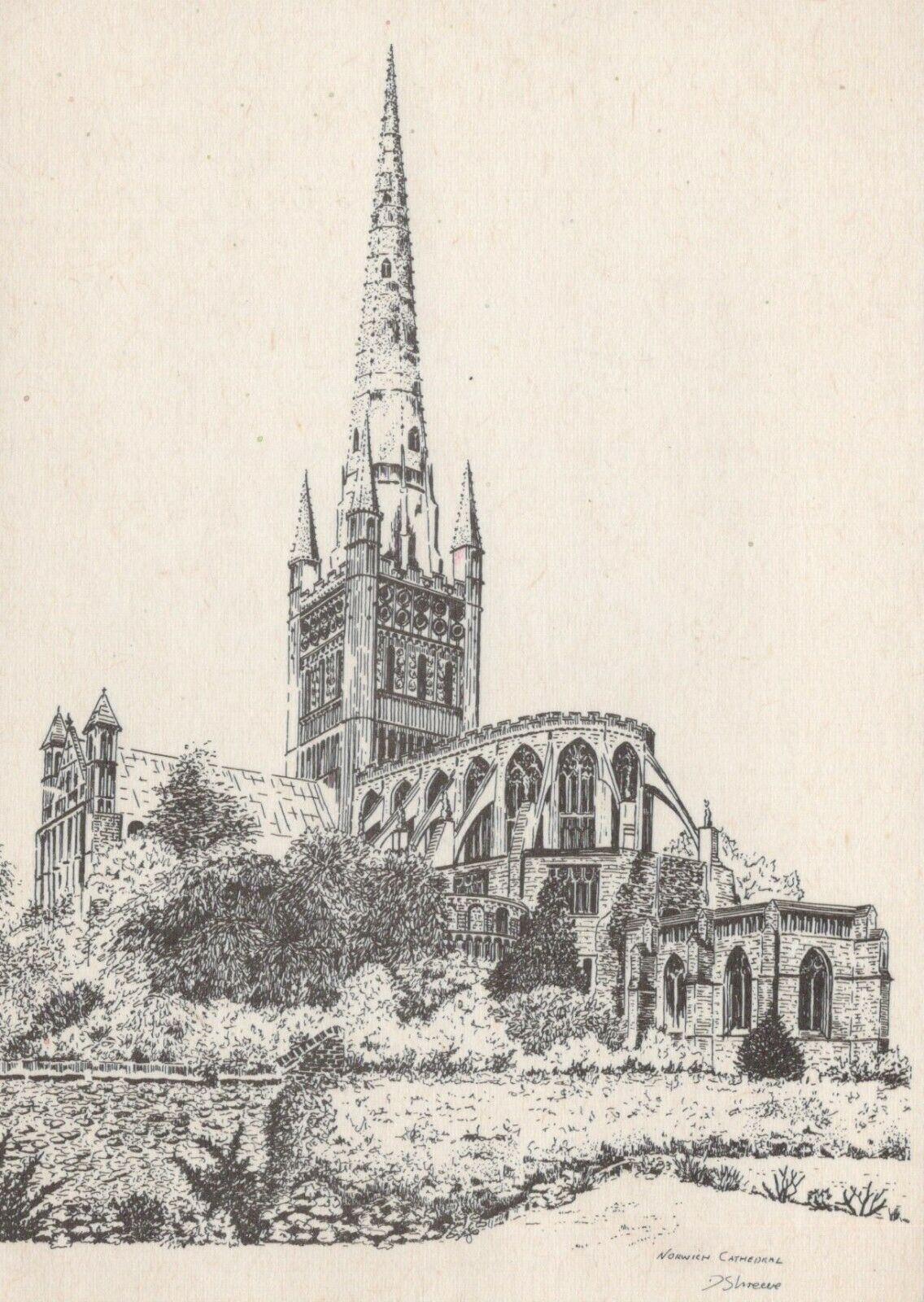 Norfolk Postcard - Pencil Drawing of Norwich Cathedral, Artist D ...