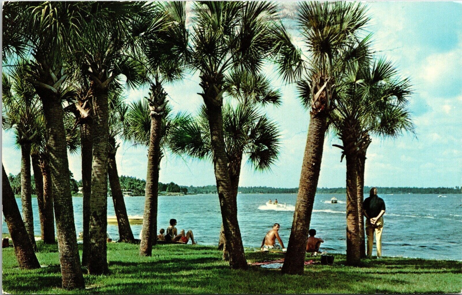 Al Anderson Park Tarpon Springs Florida Us 19 Samon Bay Lake Picnic Pm ...