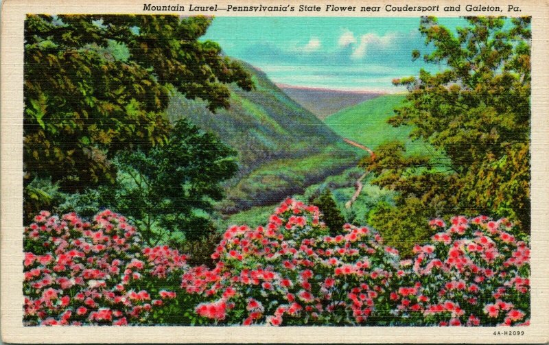Lot of 2 Vtg Linen Postcards - Pennsylvania State Flower - Mountain ...