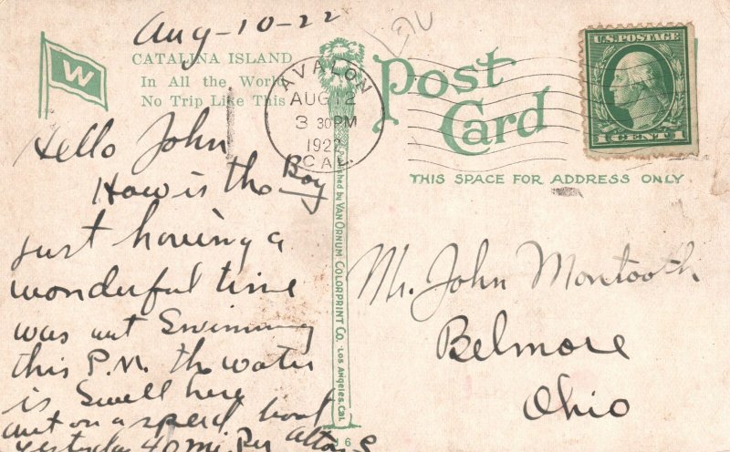 Vintage Postcard 1922 Glass Bottom Boat Seal Rocks Catalina Island ...