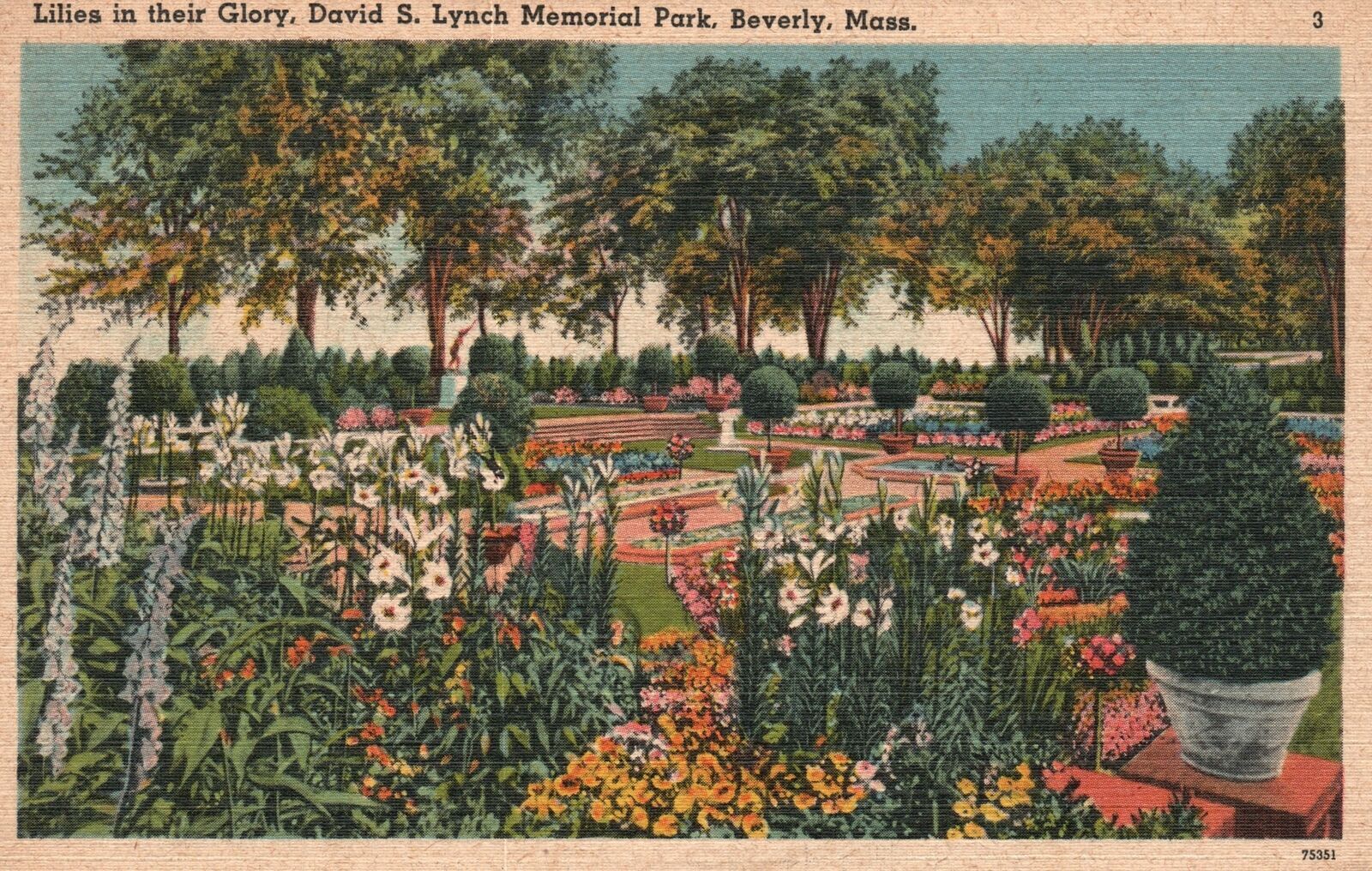 Vintage Postcard 1946 Lilies In Glory David S. Lynch Memorial Park ...