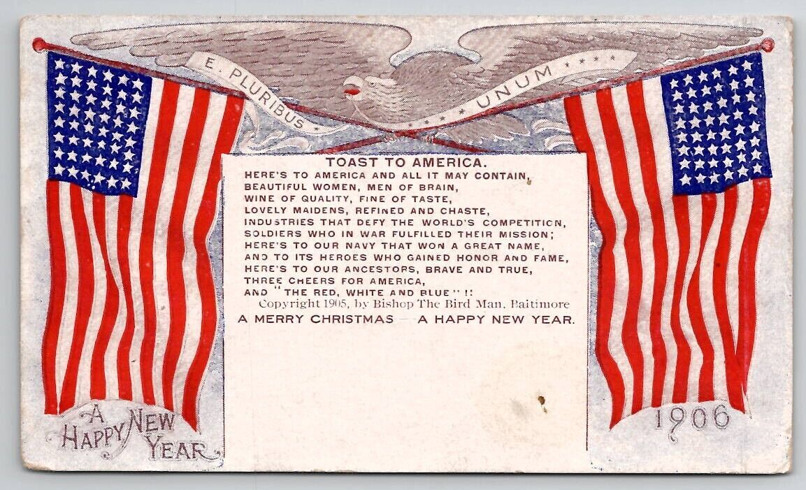 Patriotic 48 Star Flags A Toast To America New Year Greeting 1906 ...