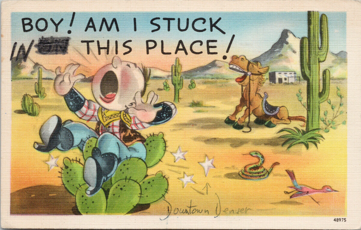 Comic Mule Laughing Man Sitting on Cactus Stuck Rattlesnake 1940s ...