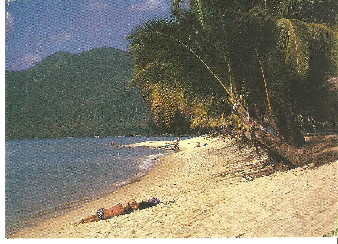 CE0234 malaysia beaches of pulau tioman island palmtree women in ...