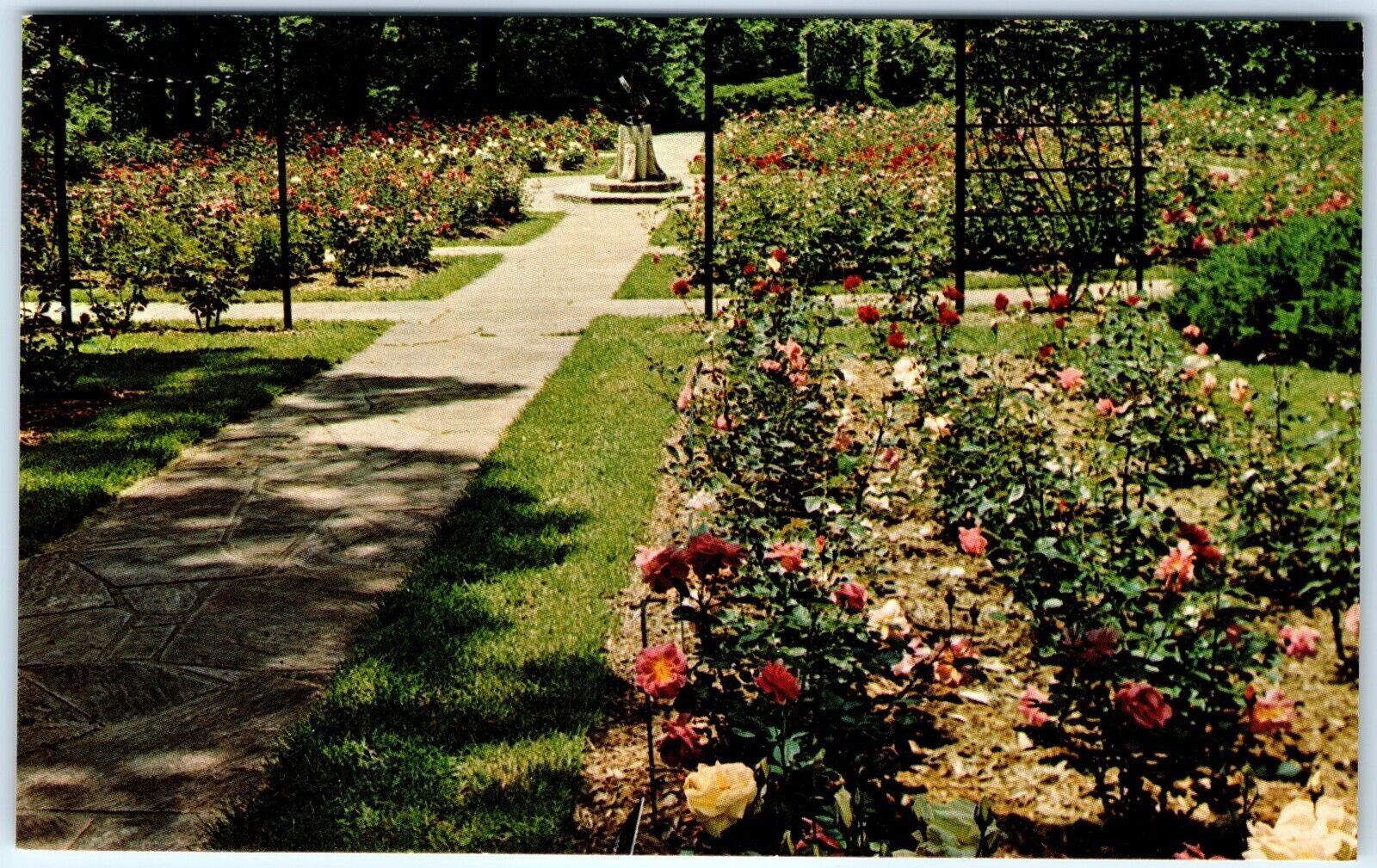 c1960s Des Moines, IA Rose Garden Art Center Downtown Landscaping ...