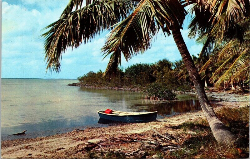 Typical Scene Florida Keys Boat Tropcial Koppel Coloar Car Postcard ...