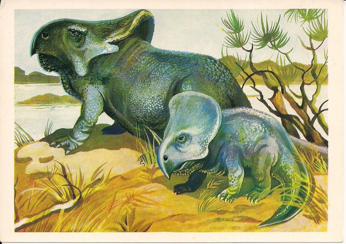 DINOSAUR, Protoceratops w Baby, Russian Fact Card, Prehistoric Animal ...