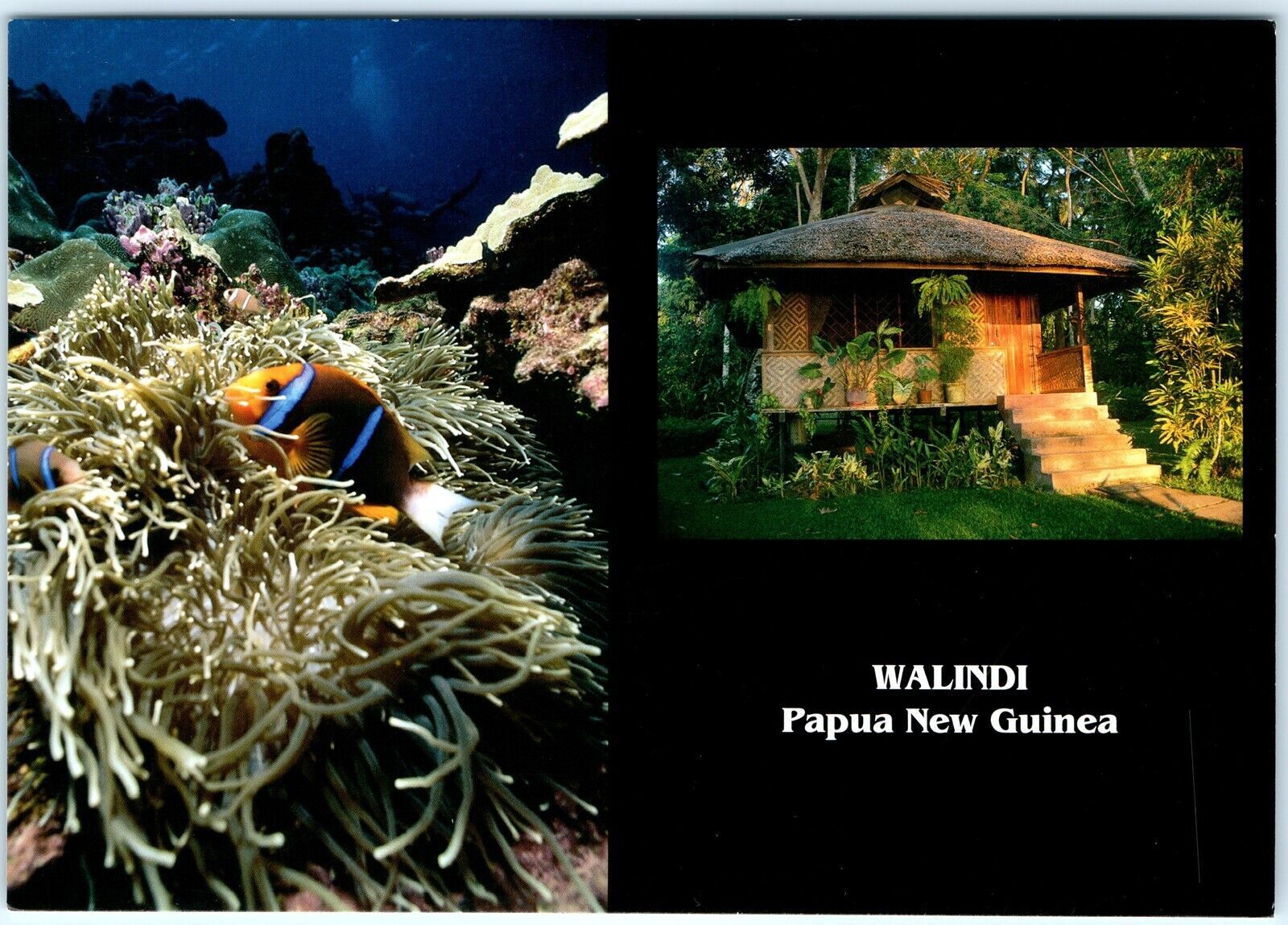 c1990s Walindi, Papua New Guinea Coral Reef Fish Bungalow Resort Chrome ...