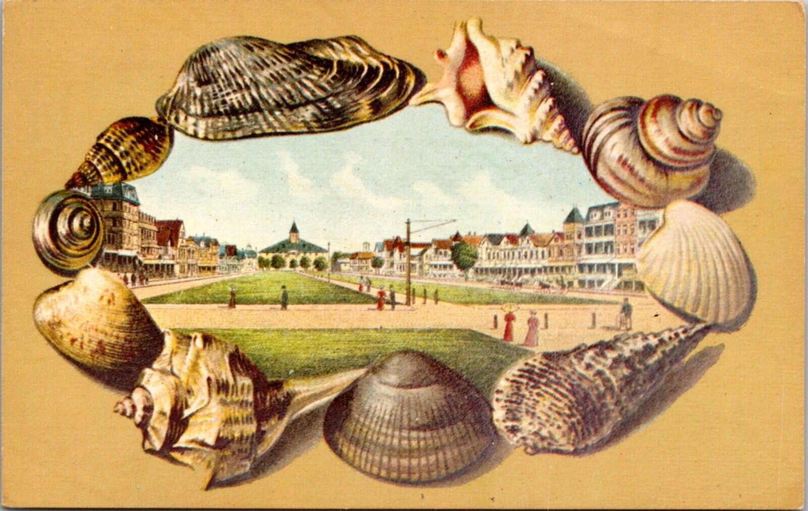 Seashell Border Postcard Ocean Pathway and Auditorium Ocean Grove New ...