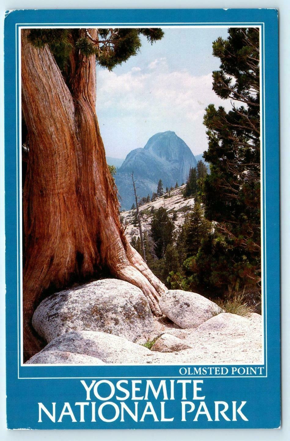 YOSEMITE NATIONAL PARK, California CA ~ OLMSTED POINT Tioga Road 4x6 ...