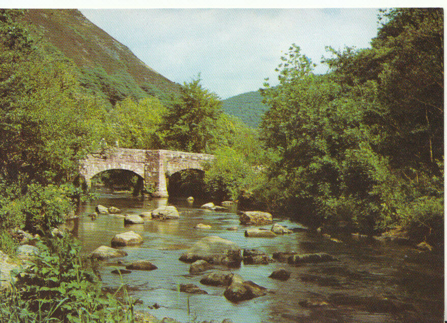 Devon Postcard - Old Arches of The Fingle Bridge - Bestride The Teige ...