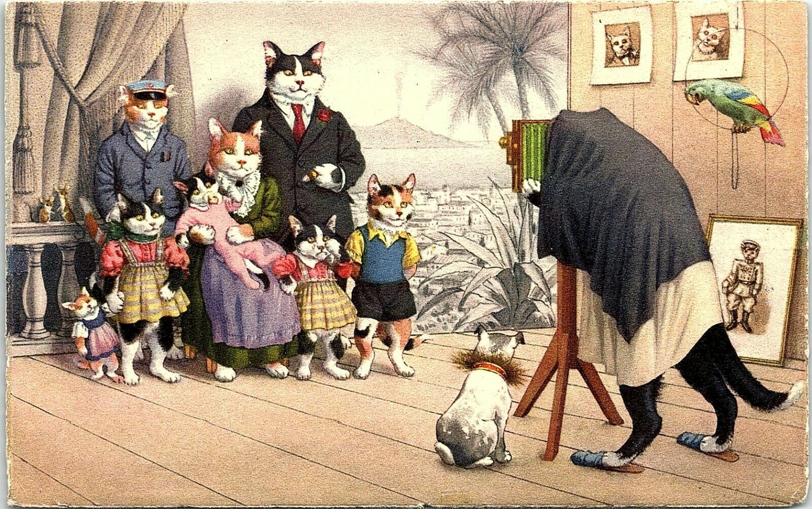 1940s Max Kunzli Anthropomorphic Cat Family Pose Portrait Volcano ...
