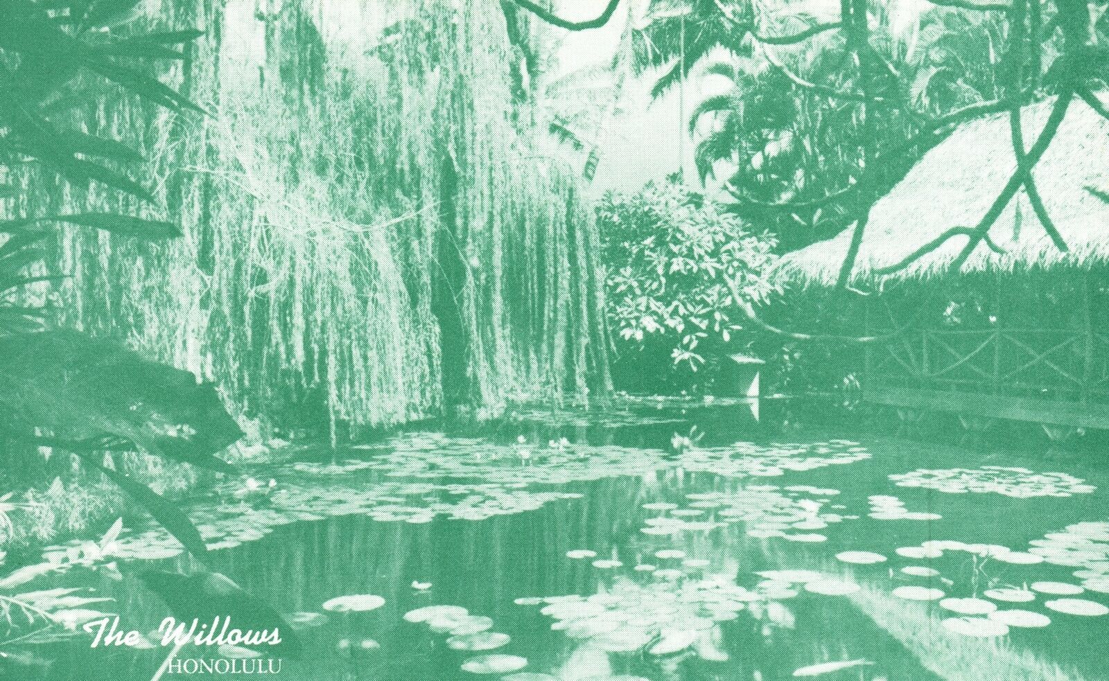 Vintage Postcard The Willows Famous Attraction Hausten Street Honolulu ...
