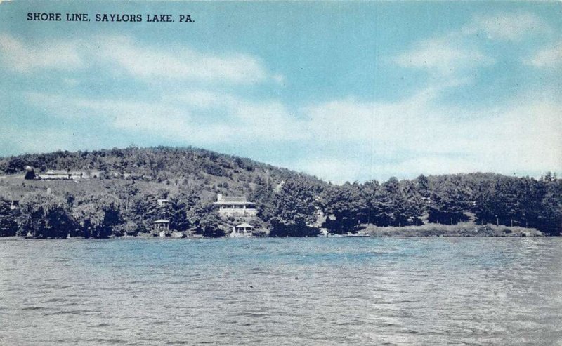 Saylors Lake Pennsylvania Shore Line Scenic View Vintage Postcard ...