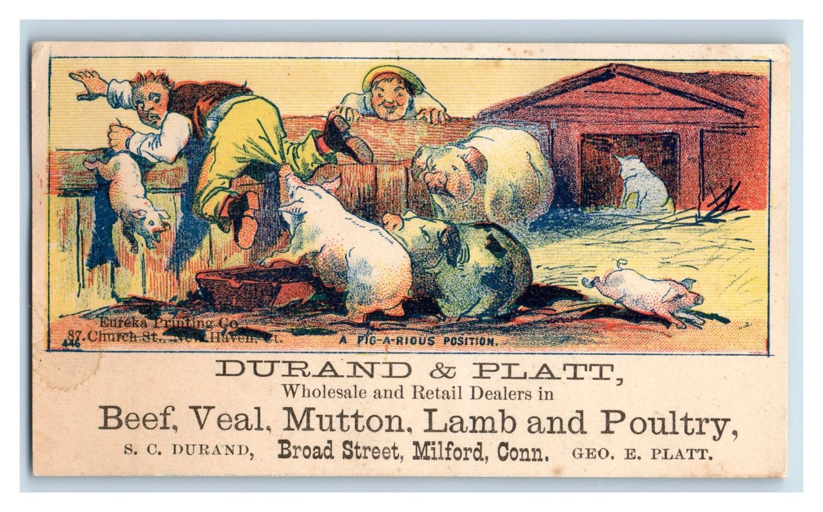 1880s Durand & Platt Beef Lamb Mutton Veal Poultry Comical Farm Set Of ...