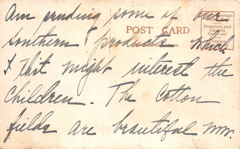 Houston Texas Rice Field Farming Scene Vintage Postcard AA62114 ...