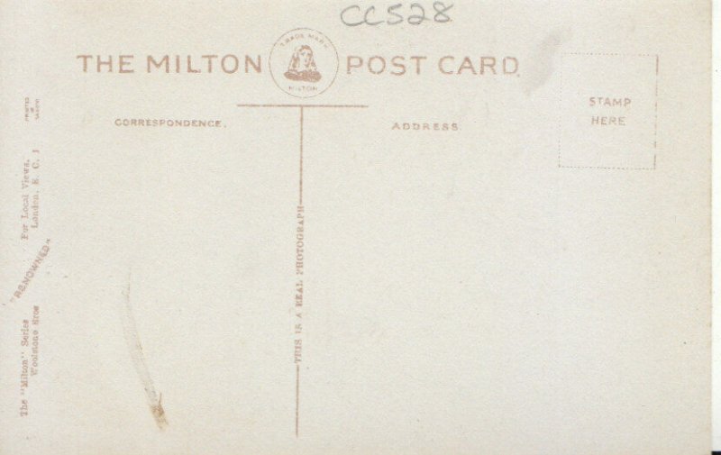 Devon Postcard - Castle Walls - Exeter - Real Photograph - Ref TZ2103 ...