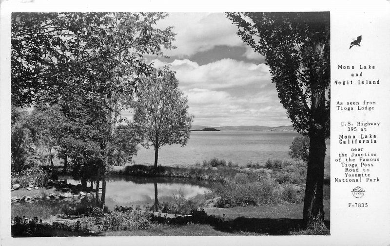 1940s FRASHER MONO LAKE CALIFORNIA Negit Island US Highway 395 RPPC ...