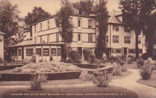 New York Maplecrest In The Catskills Showing One Of The Many Buildings ...