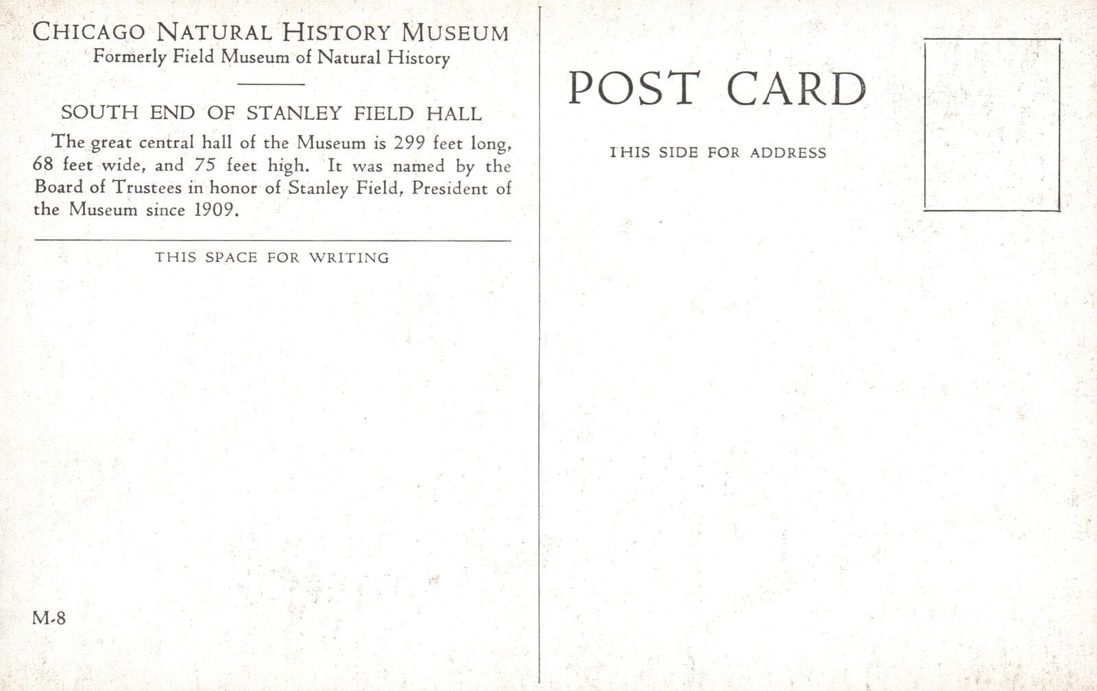 Vintage Postcard South & Stanley Field Hall Chicago Natural History ...