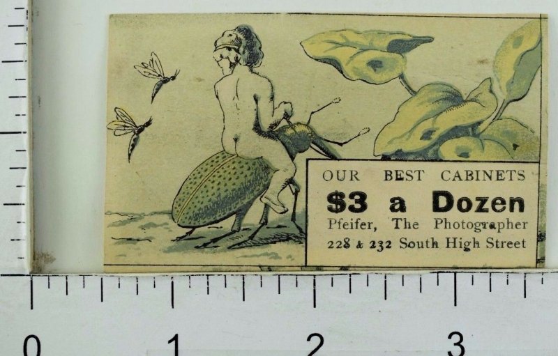 J.A Pfeifer Photographer Cherub Riding Giant Beetle Insects Fabulous ...