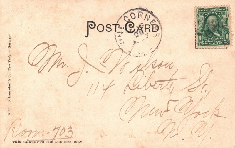 Vintage Postcard 1900's Rustic Bridge Lake Ophelia Liberty NY William ...