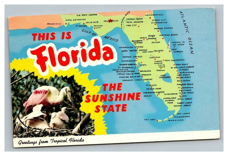 Vintage 1973 Postcard Topical Map of Florida The Sunshine State ...