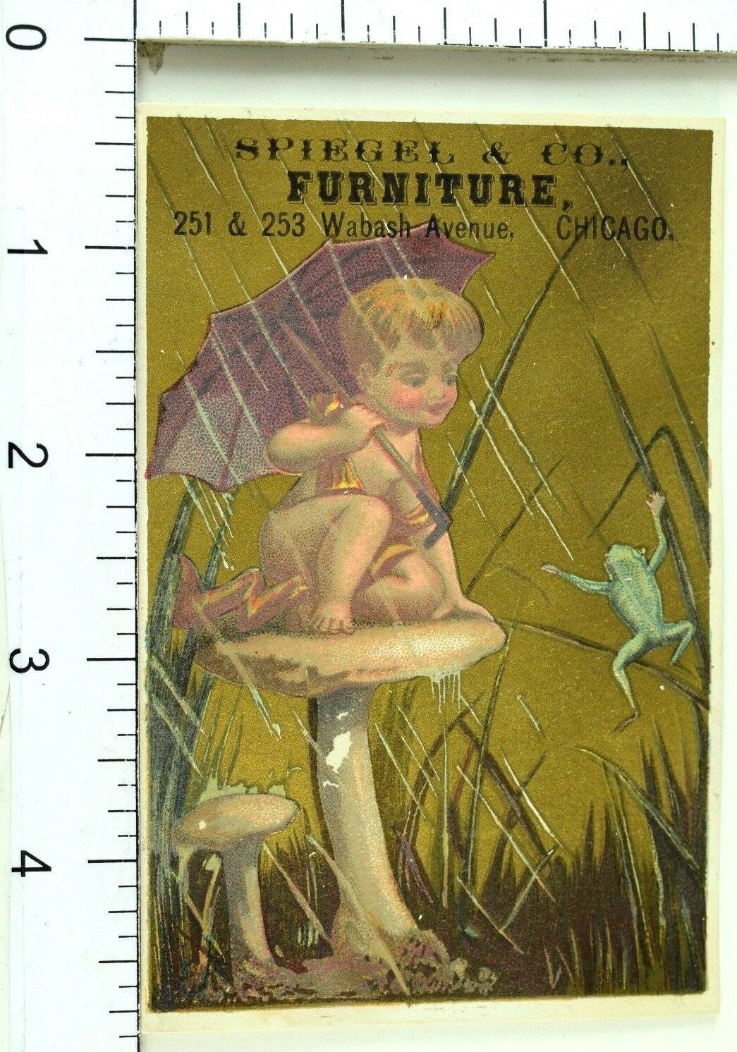 1870's-80's Lovely Cherub Rain Frog Spiegel & Co., Wabash Ave, Chicago ...