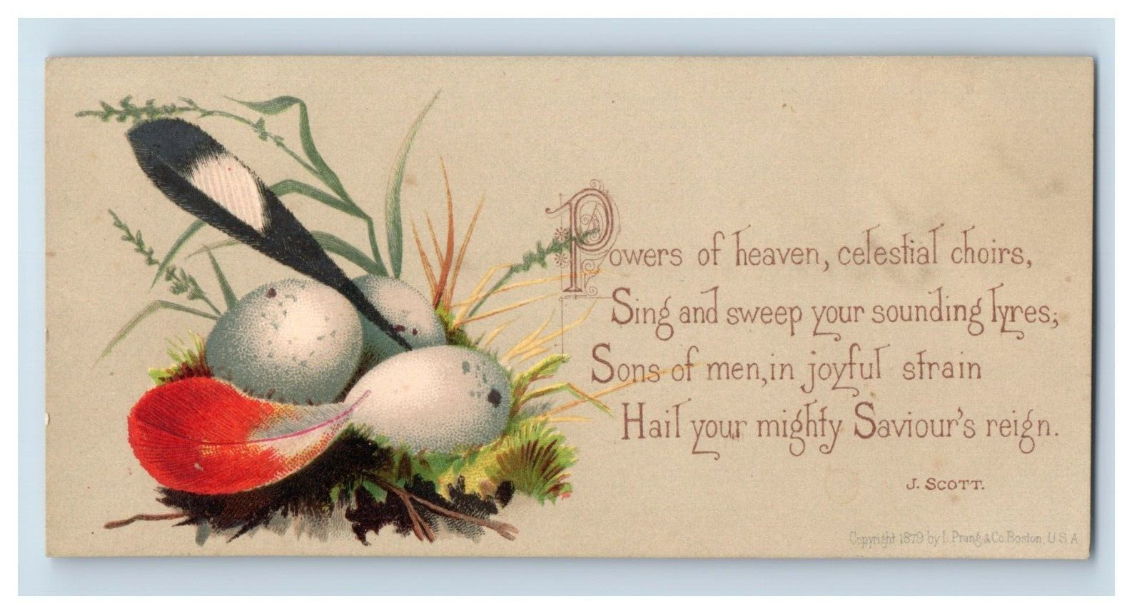 1879 J. Scott Poem "Powers Of Heaven" Bird Eggs Nest Feathers F147 ...