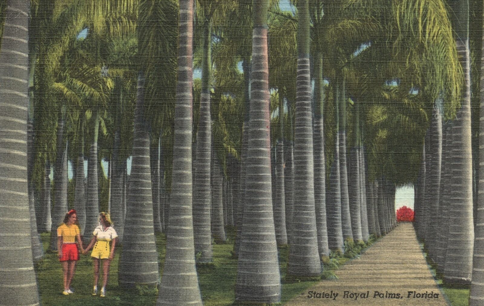 Florida, Stately Royal Palms Impressive Views McKee Jungle Gardens ...