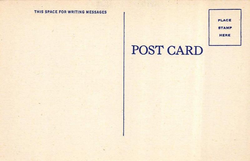 THREE RISQUÉ COMICS Beauty-Lifeguard, Fishing & Gun c1940's Linen ...