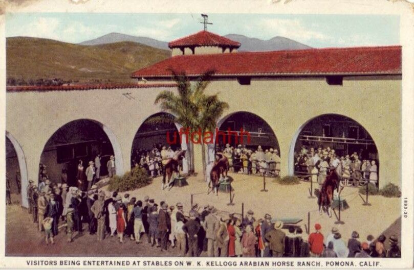 Visitors Being Entertained at Stables, Kellogg Arabian Horse Ranch ...