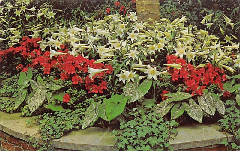 Spring Flower Show, The Palm Court Pittsburgh, Pennsylvania PA s ...