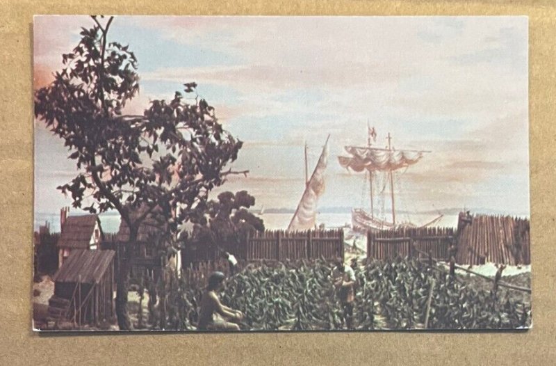 Unused Postcard - 1st Tobacco Crop, Diorama at Jamestown Festival Park ...