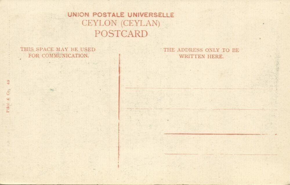 ceylon, Beautiful Native Nude Rodiya Women Water Chatty Pottery (1910s ...