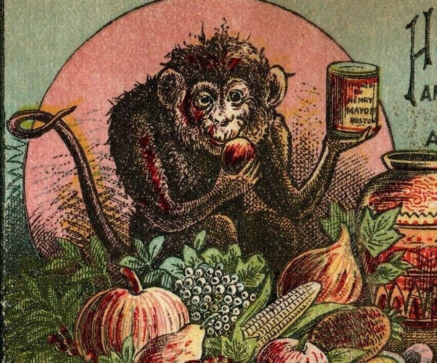1870's Henry Mayo & Co Canned Goods Happy Monkey Eating Fruit P168 ...