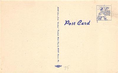 Beach Lifeguard Pin-Up Girl Comic Risque c1940s Funny Vintage Postcard ...