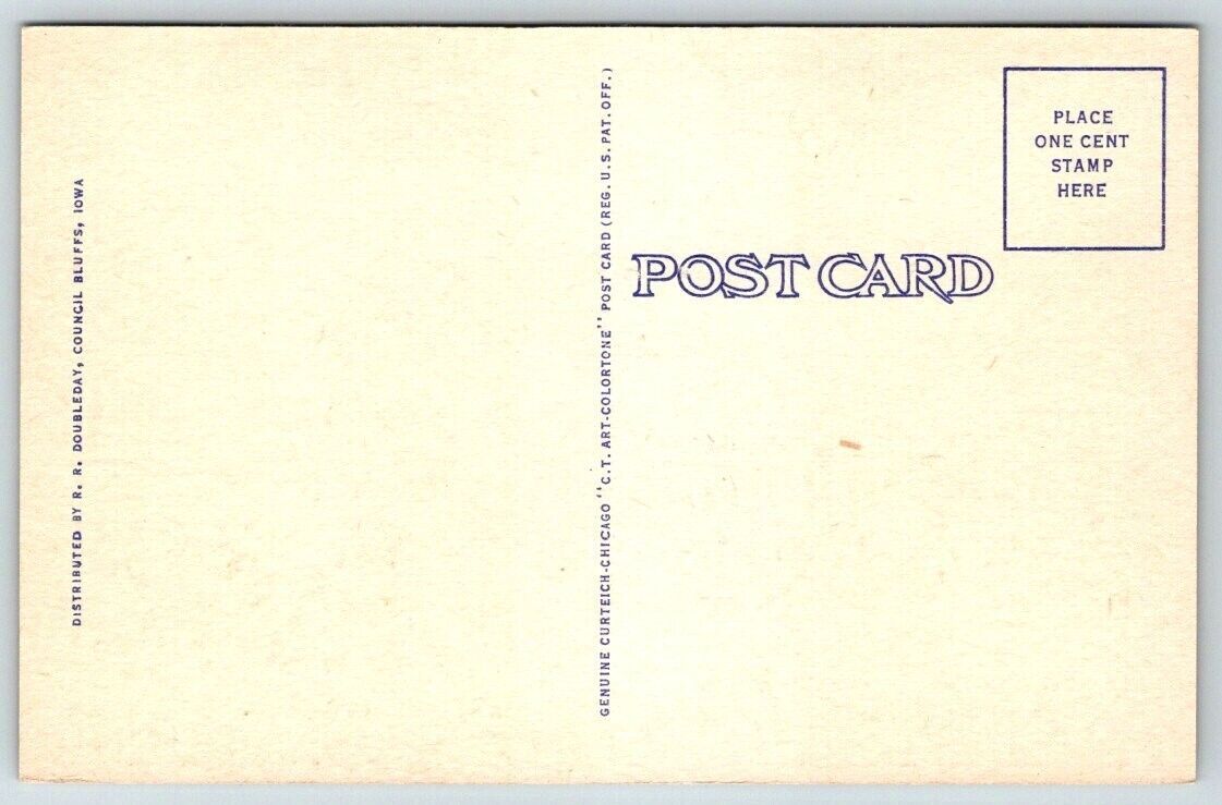 Vintage Postcard - Crazy Snake Up To One Of His Tricks Rodeo Cowboy ...