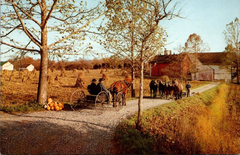 Pennsylvania Heart Of Dutchland Old Order Amish & Mennonites In Horse ...