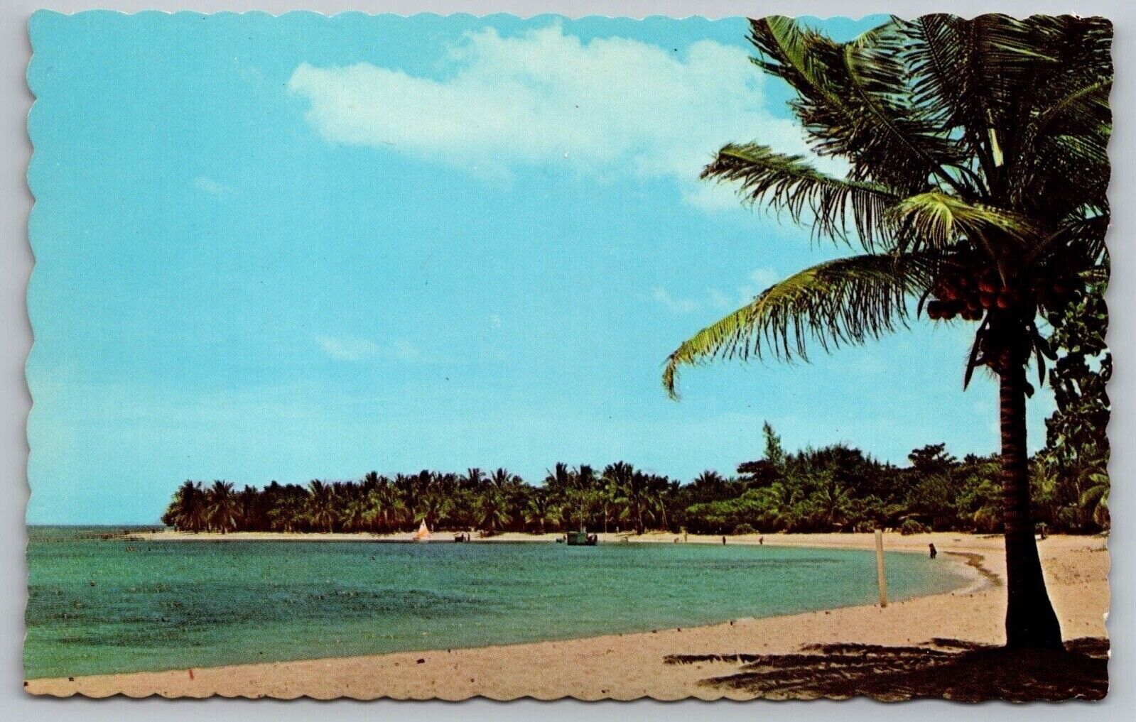 Half Moon Hotel Beach Montego Bay Jamaica West Indies Shoreline VNG UNP ...