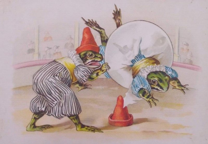 1880s-1890s Anthropomorphic Dressed Frogs At Circus Doing An Act ...