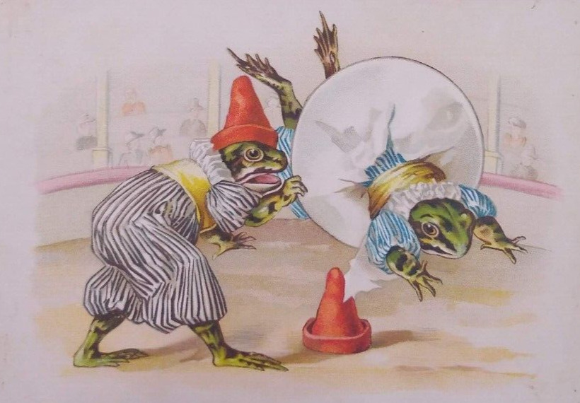 1880s-1890s Anthropomorphic Dressed Frogs At Circus Victorian Trade ...