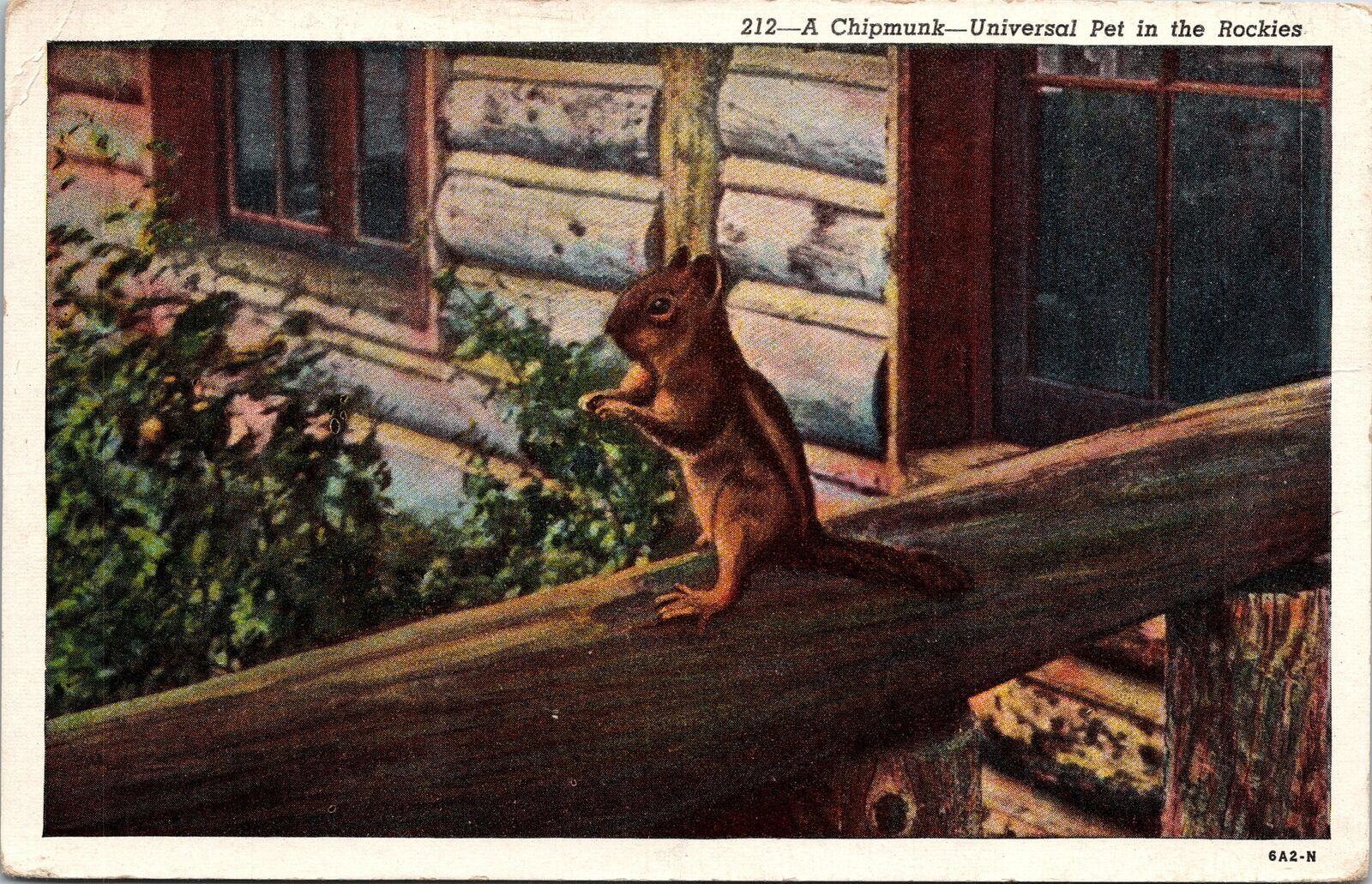 Vintage Postcard a Chipmunk - Universal PET in the Rockies | United ...