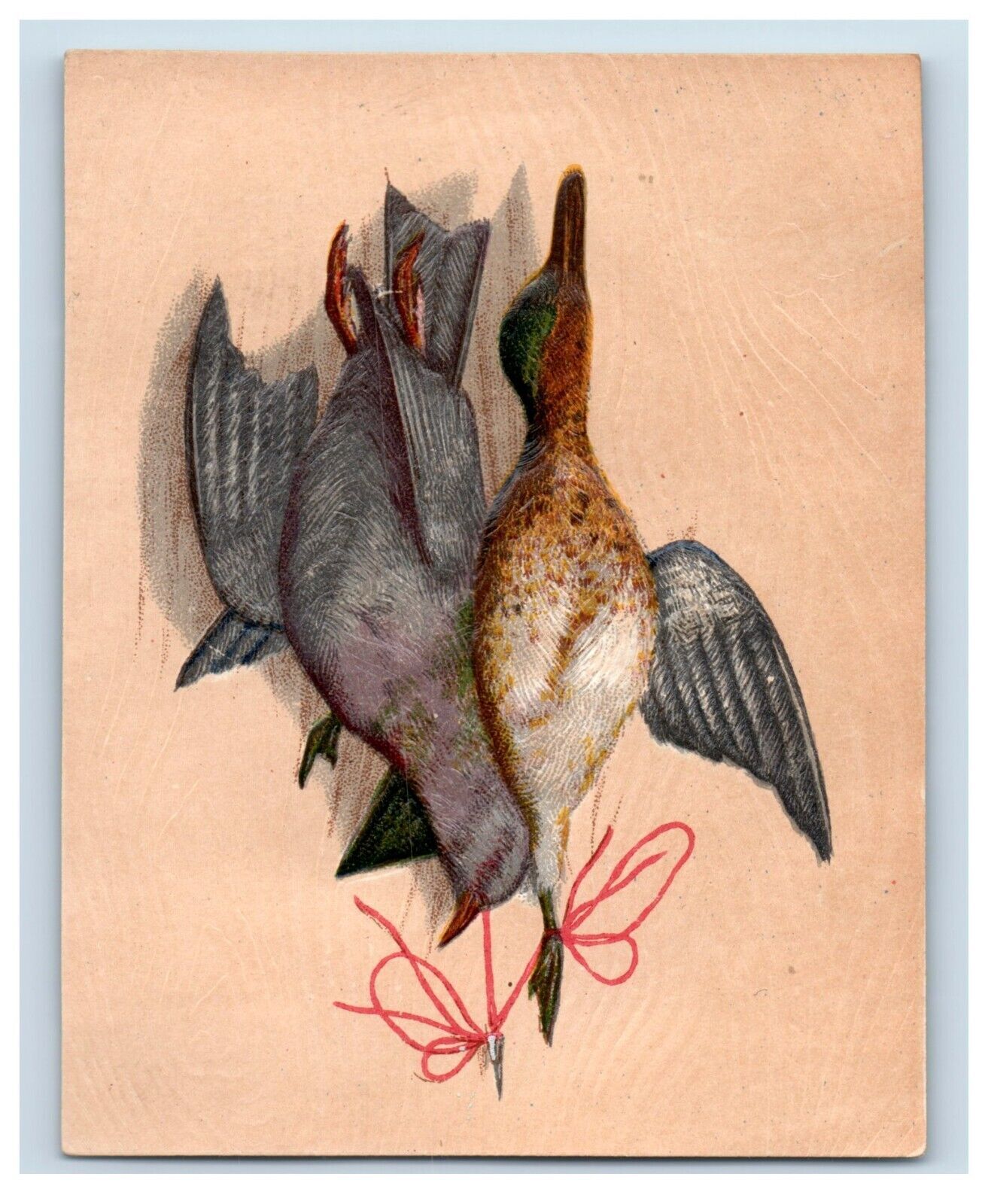 1880s Embossed Victorian Trade Card Two Dead Birds #2 F116 | Ephemera ...