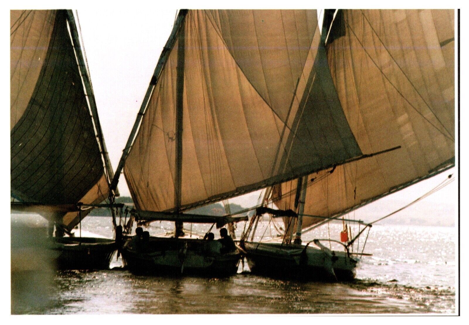 Aswan Egypt Nile River Boats Scenic Desert Shoreline Chrome Postcard ...