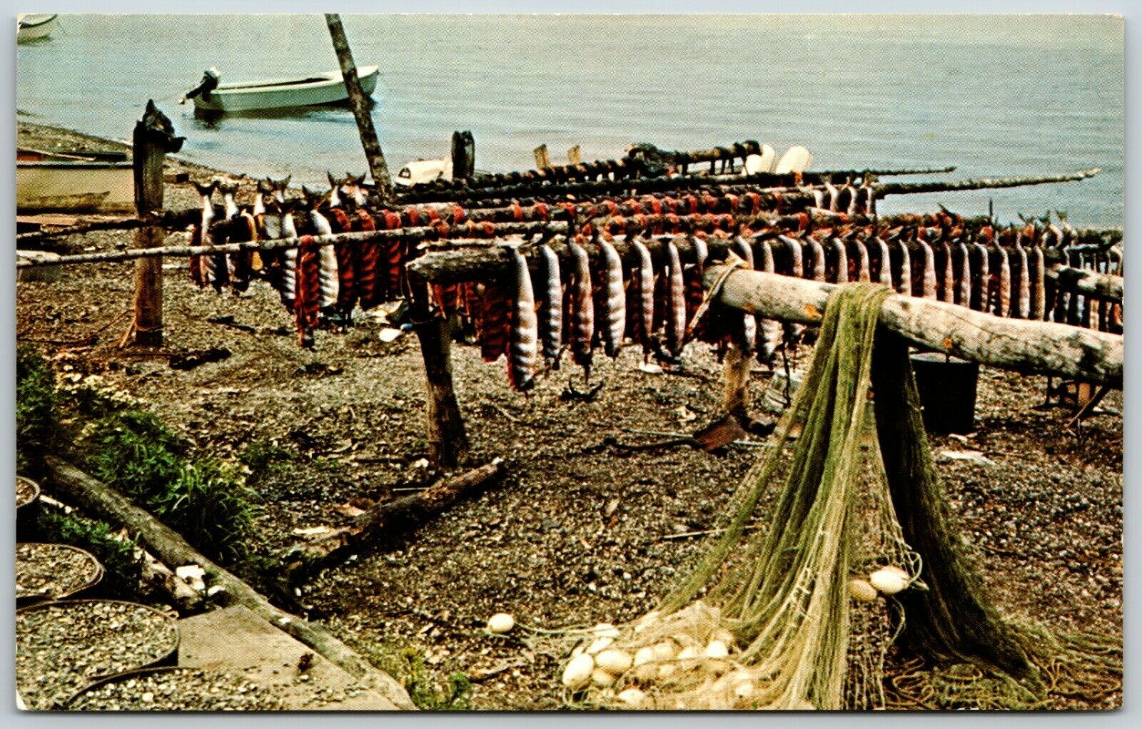 Salmon Drying on the Shore of the Bering Sea, Kotzebue, Alaska ...