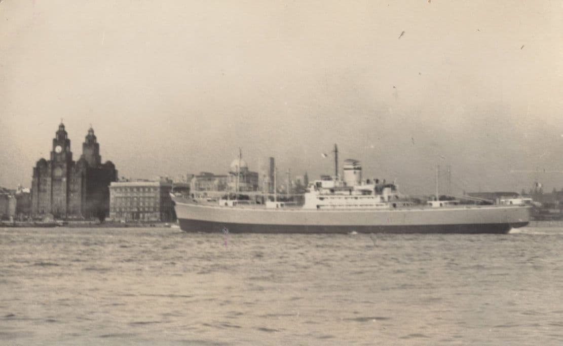 Irish Spruce Shipping Vintage Rare Ship Photo | Topics - Transportation ...