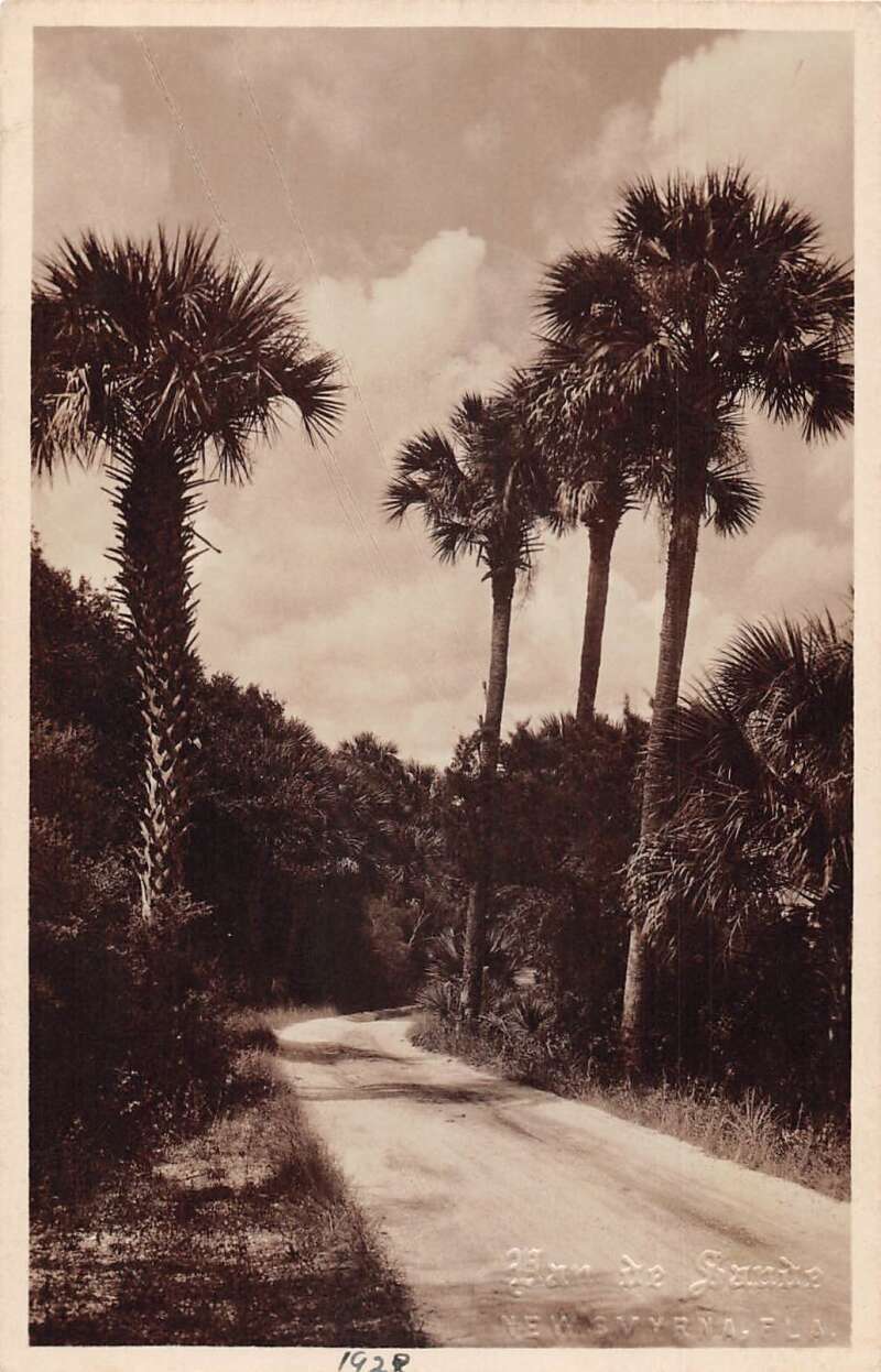 New Smyrna Florida Van de Sande Palm Trees Real Photo Postcard AA38278 ...